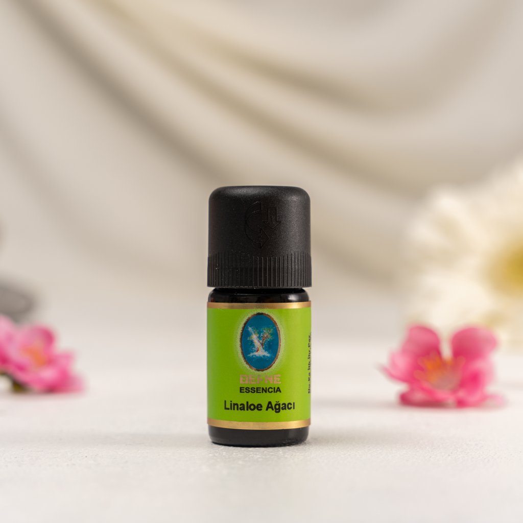 LİNALOE AĞACI / 5 ML - Ay Akademi